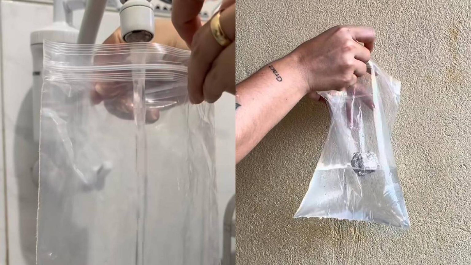 A dica de vó para acabar com as moscas em casa de uma vez - Portal 6