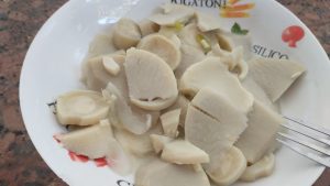 Gueroba ou Guariroba: desvendando o palmito mais amargo do Cerrado ...